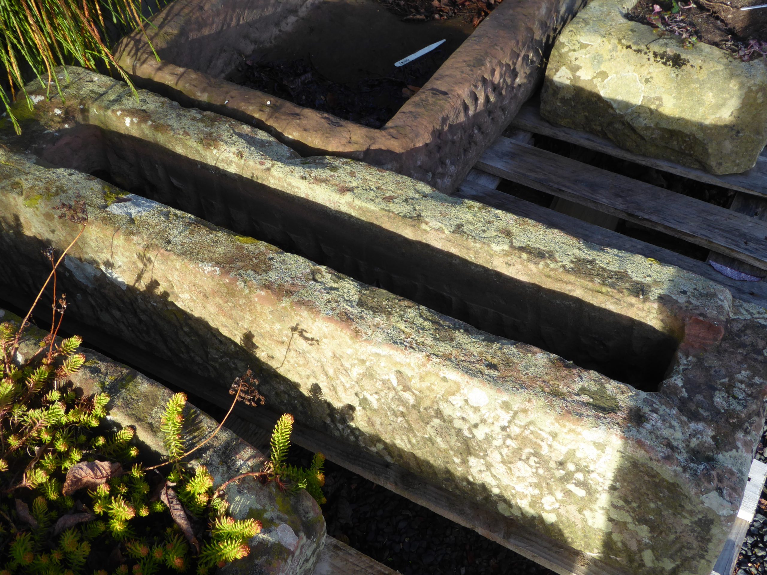 Long, narrow stone trough | Woodside Garden