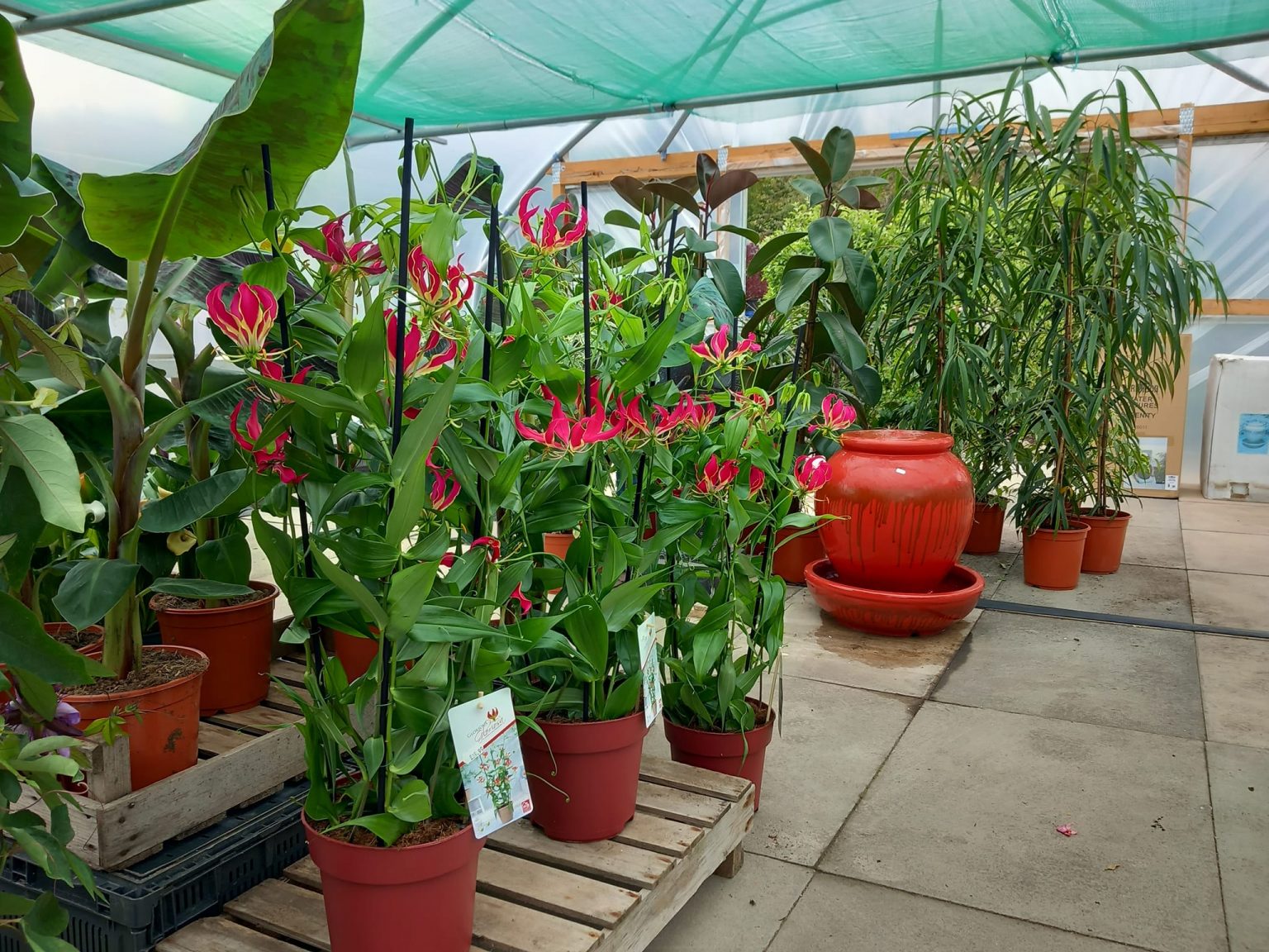 Woodside Garden Plant Centre and Tea Room | Scottish Borders