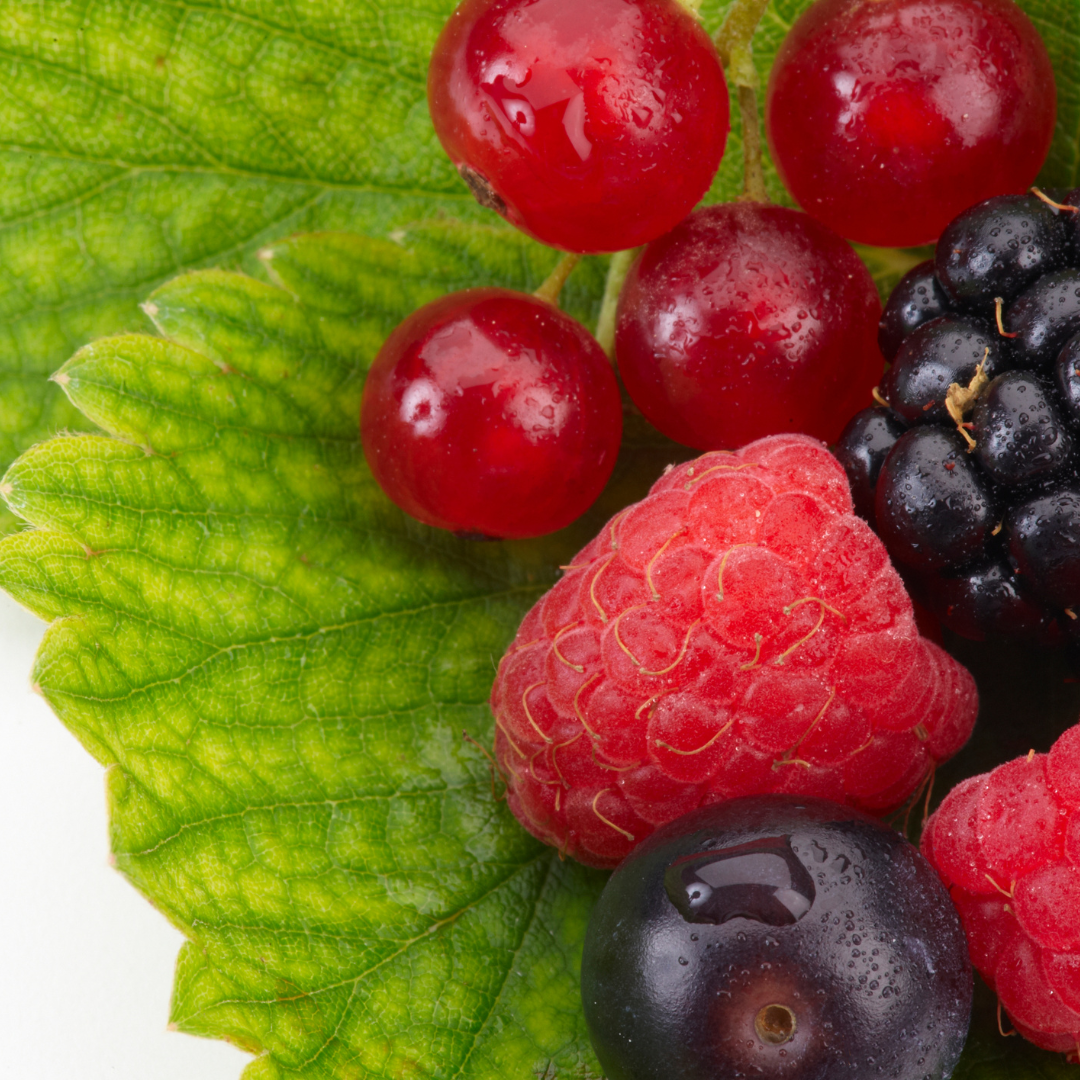 Time to Plant Soft Fruit Bushes | Woodside Garden | Near Jedburgh