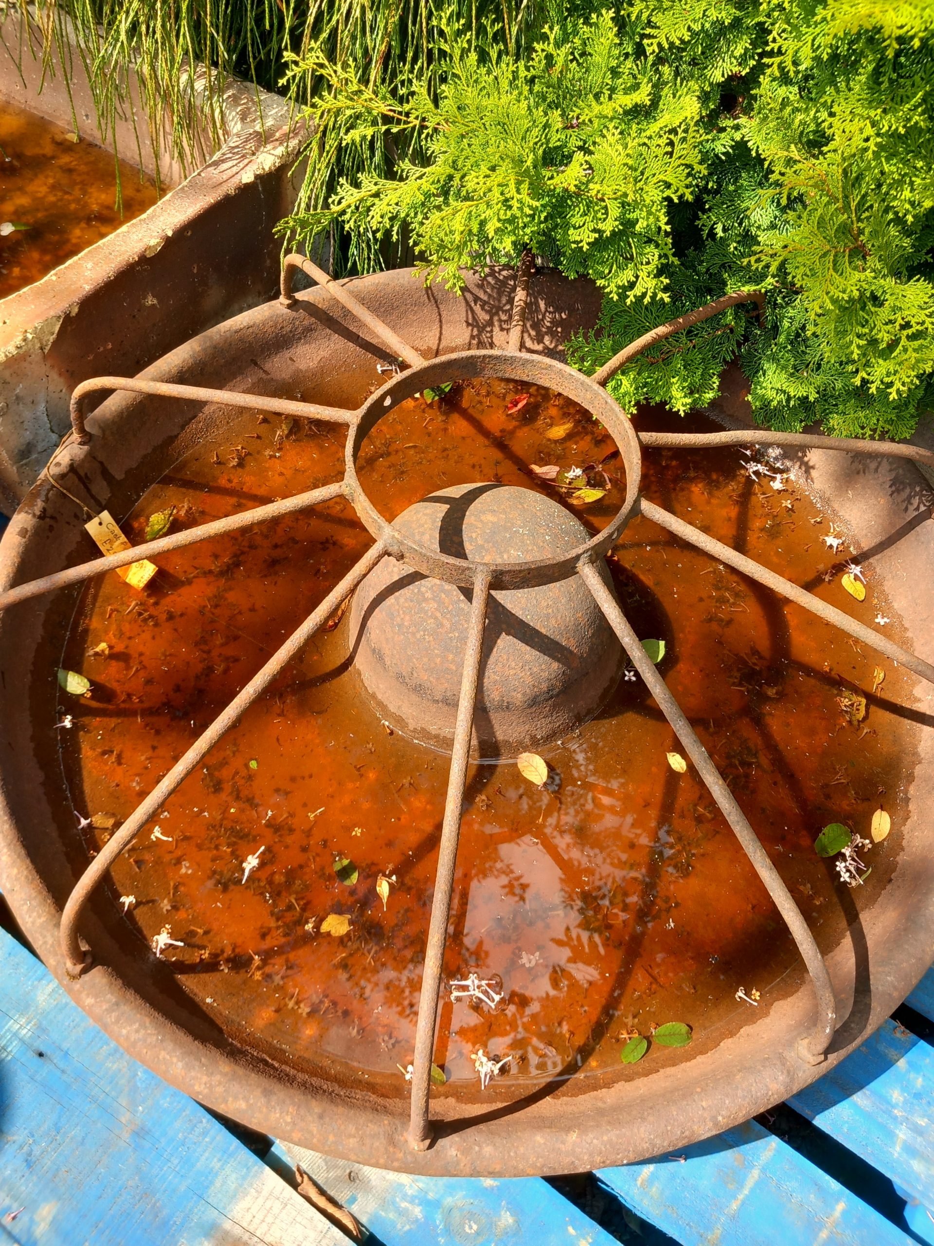 Pig trough | Woodside Garden