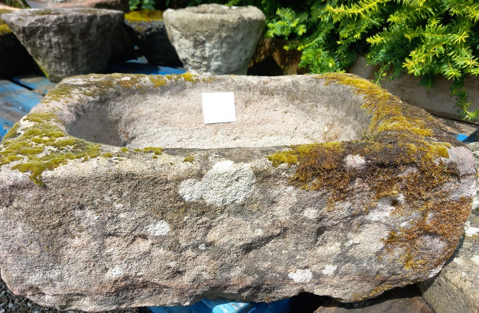 Oblong trough | Woodside Garden