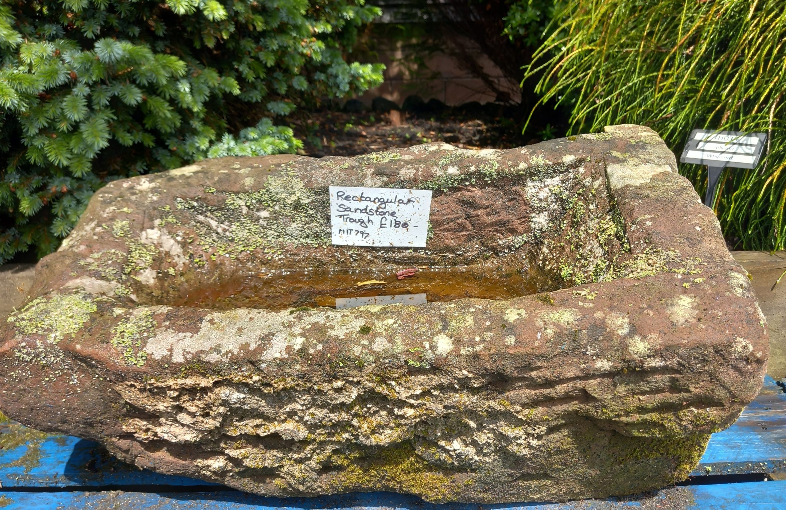 Rectangular stone trough | Woodside Garden