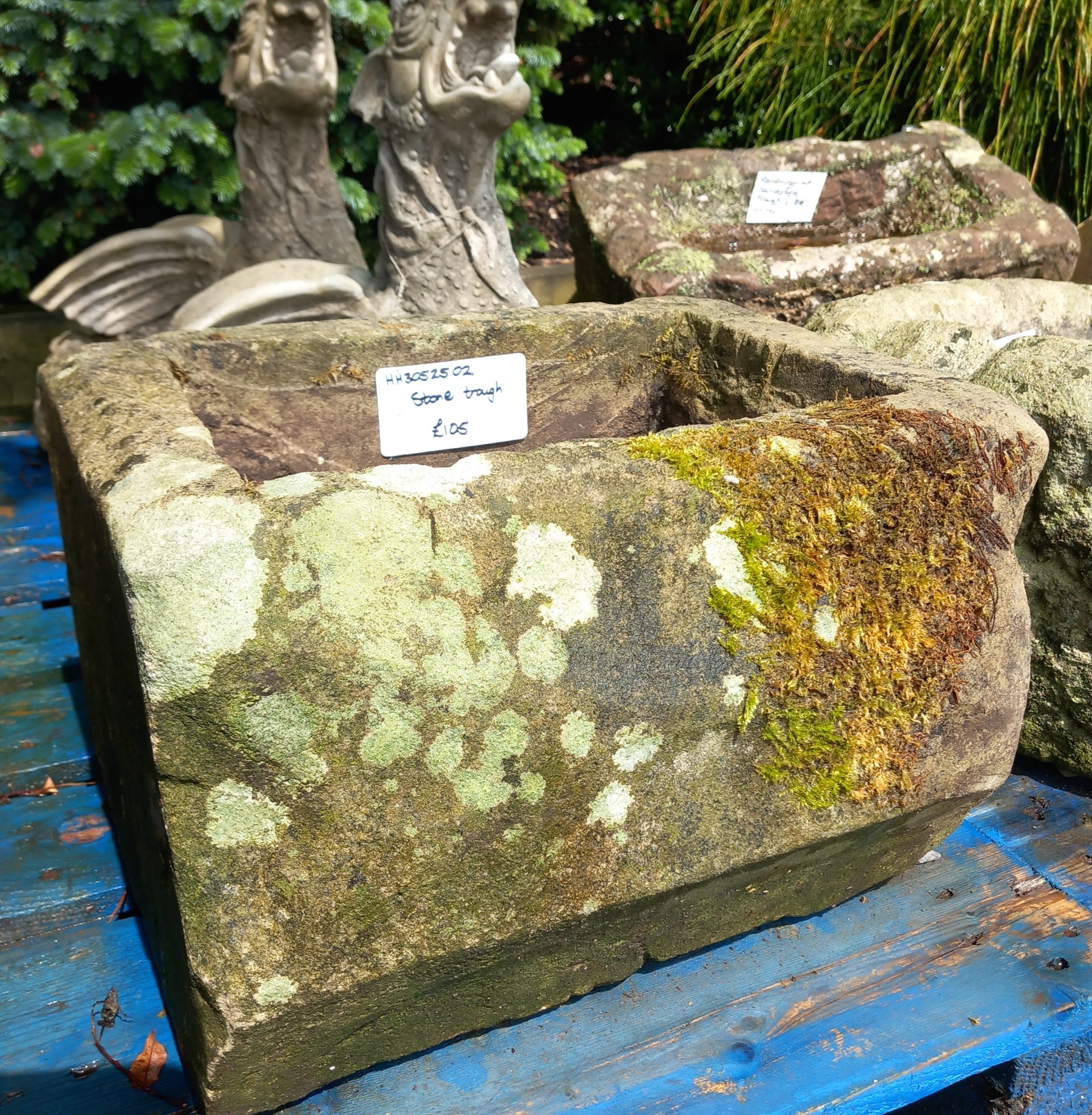 Small rectangular trough | Woodside Garden